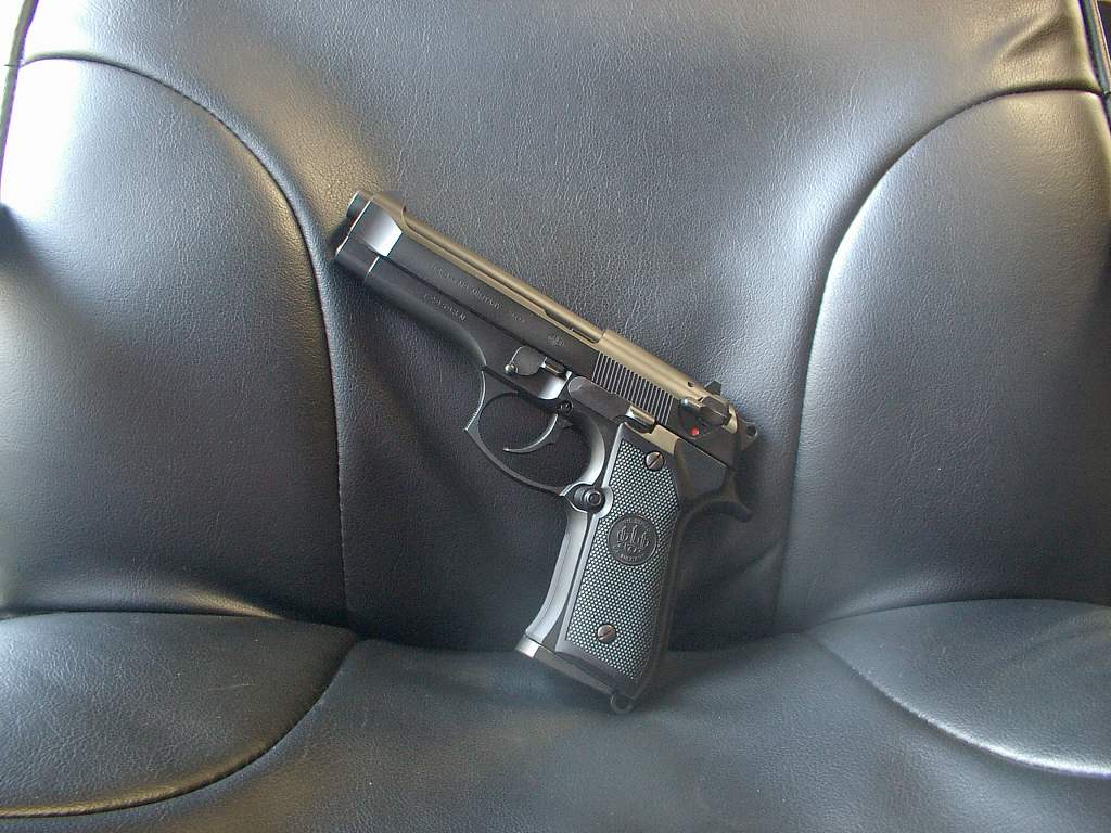 Model Gun Collection