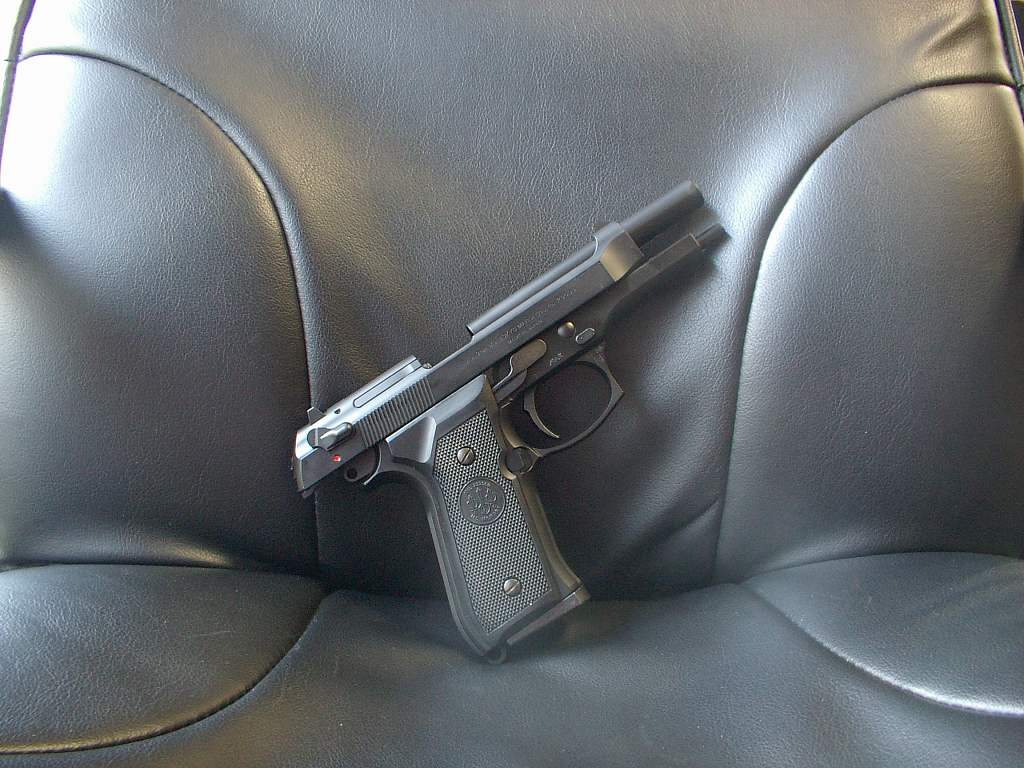 Model Gun Collection